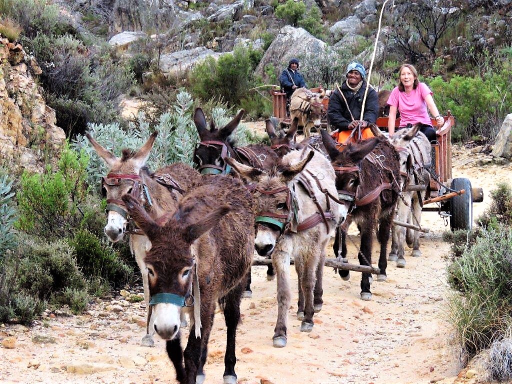 South Africa Walking Adventure | RoundTrip Foundation